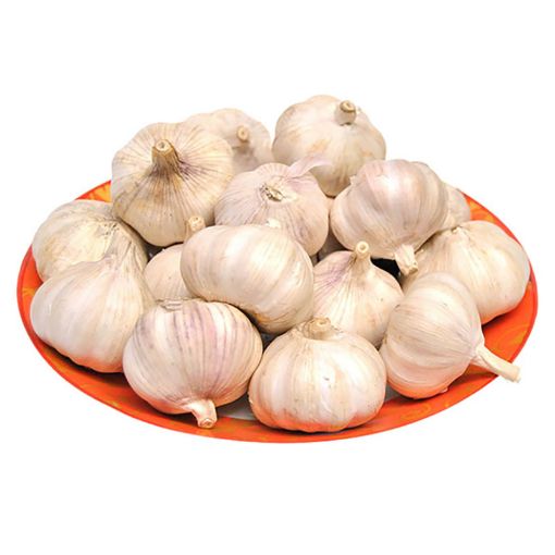 Winners | AIL IMPORTE