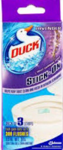 Winners | DUCK STICKON LAVENDER