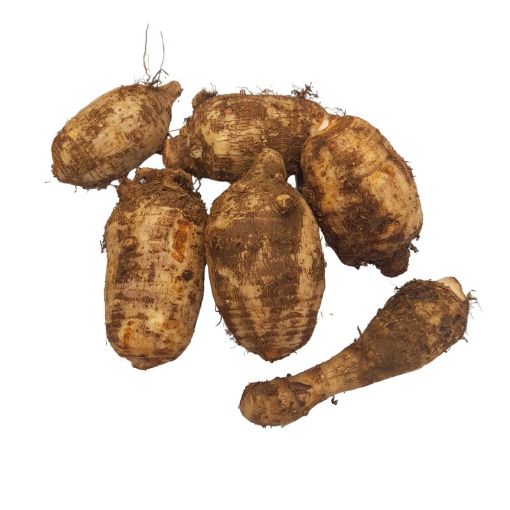 Winners | AROUILLE CARRY