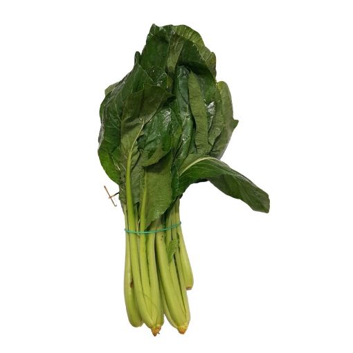 Winners | BREDE VERT