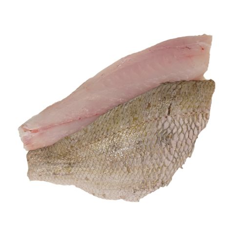 Winners | HTS FILLET CAPITAINE