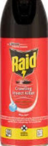 Winners | RAID CRAWLING INSECT KILLER 300ML