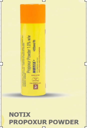 Winners | NOTIX POWDER